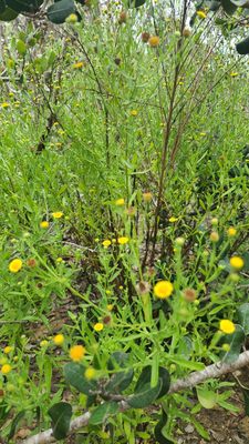 UCI RESEARCH PARK - Updated December 2025 - 20 Photos - 5301 California ...