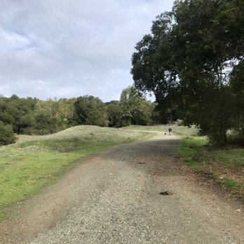 MT. BURDELL OPEN SPACE PRESERVE - Updated January 2026 - 167 Photos ...