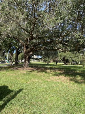 AL COITH PARK - 31 Photos - 901 Delaney Ave, Orlando, Florida - Parks ...