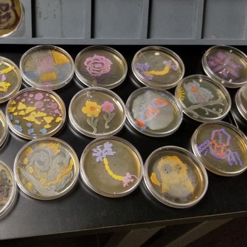 BALTIMORE UNDERGROUND SCIENCE SPACE - Updated January 2026 - 14 Photos ...