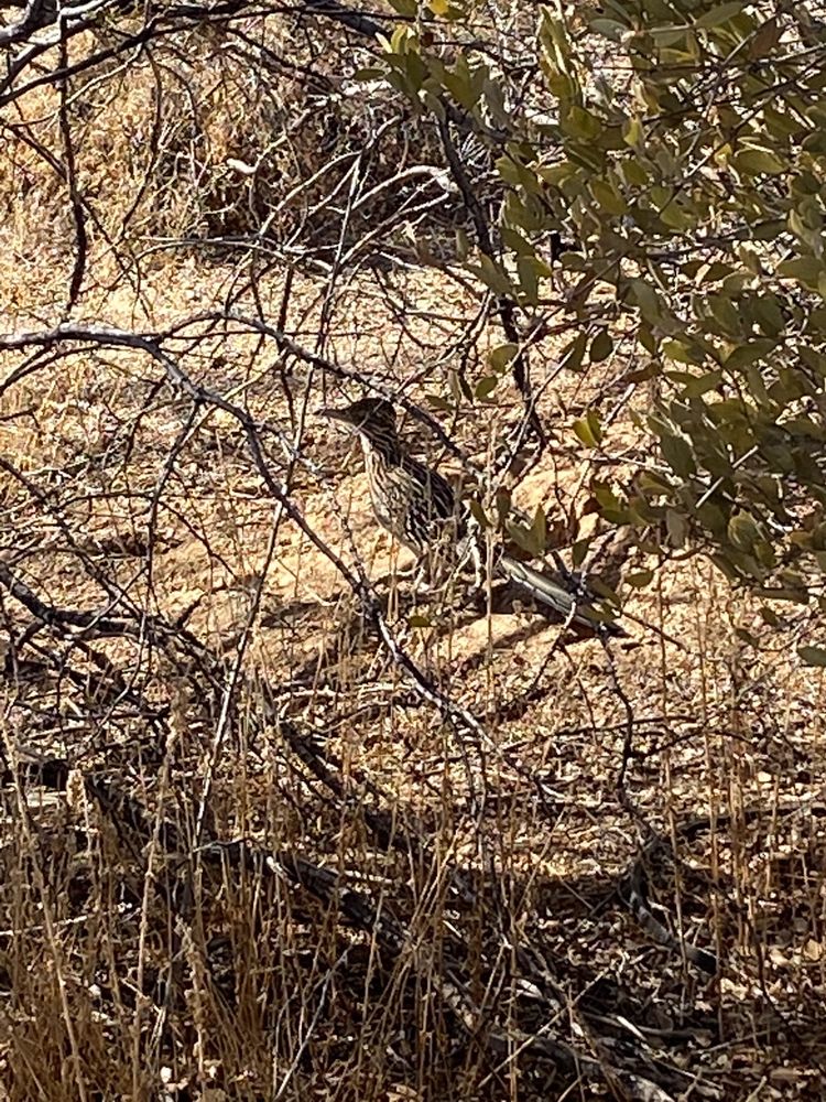 GRAYHAWK PARK - Updated August 2025 - 20726 N 76th Way, Scottsdale ...