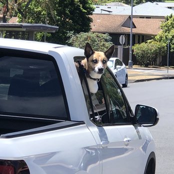 CHOCO LE’A - Updated November 2024 - 869 Photos & 176 Reviews - 2909 ...