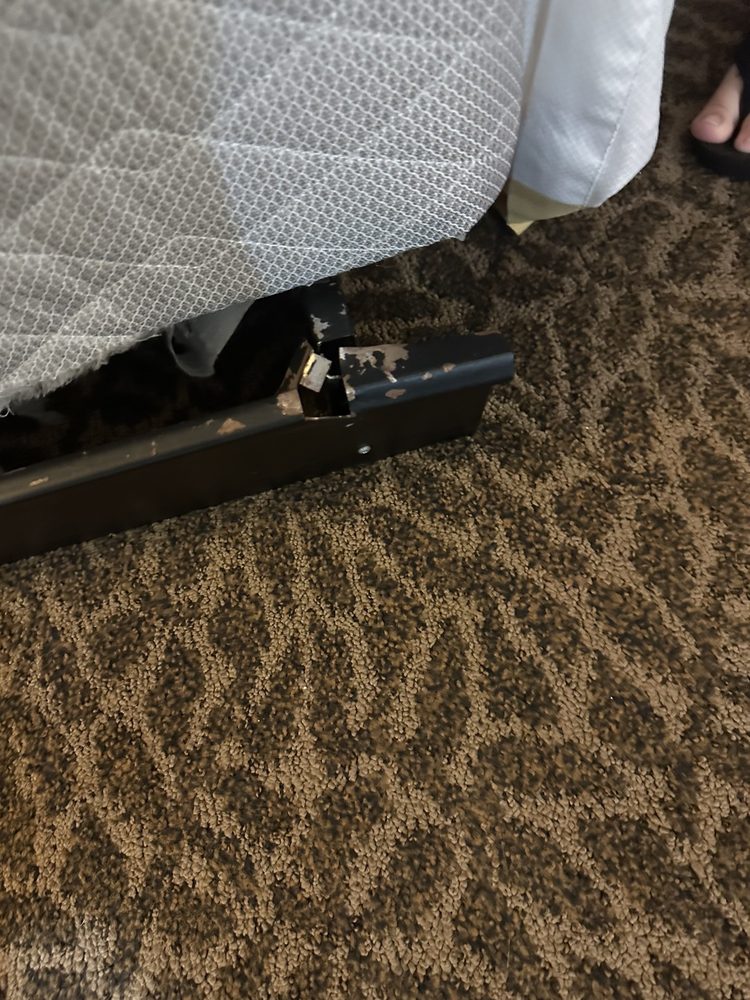 QUALITY SUITES - Updated August 2025 - 53 Photos & 12 Reviews - 1099 ...