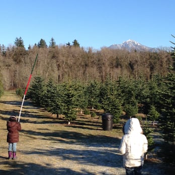 HEMSTROM VALLEY TREE FARM CHRISTMAS TREES - TEMP. CLOSED - Updated ...