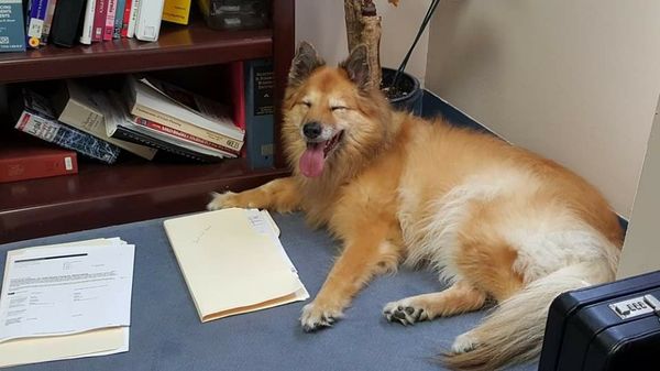 ROBERT P TAYLOR ATTORNEY AT LAW - Updated December 2025 - 20 Reviews ...