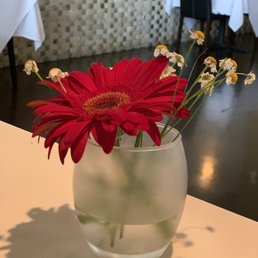 THE WILD ROSE - Updated December 2025 - 286 Photos & 314 Reviews ...