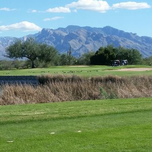CROOKED TREE GOLF COURSE - 22 Photos & 12 Reviews - 9101 N Thornydale ...