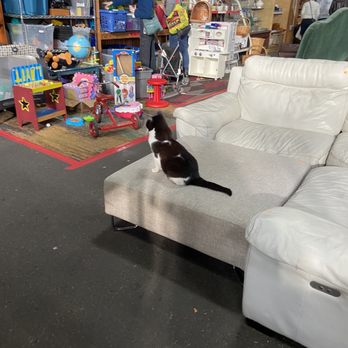 URBAN ORE - Updated June 2025 - 493 Photos & 594 Reviews - 900 Murray ...