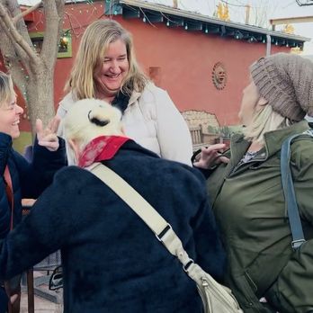 PLANET MARFA - Updated December 2025 - 146 Photos & 104 Reviews - 200 S ...