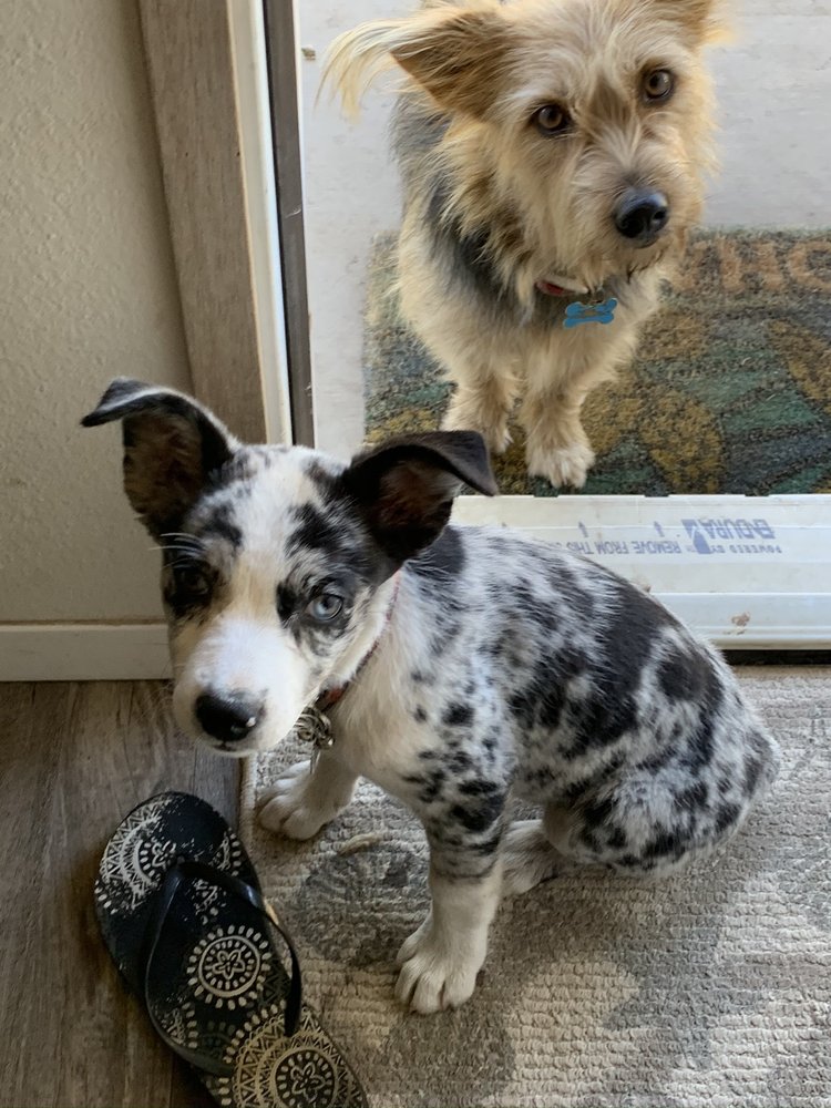 ALII VETERINARY HOSPITAL - Updated July 2024 - 26 Photos & 50 Reviews ...