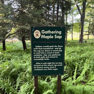 SPRAGUE’S MAPLE FARMS - 381 Photos & 155 Reviews - 1048 Portville Obi ...