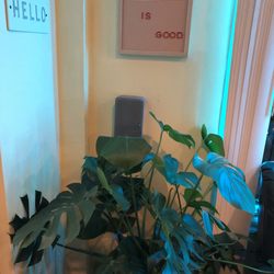 MOONLIGHT SPA - 55 Photos & 108 Reviews - Reflexology - 722 Washington ...