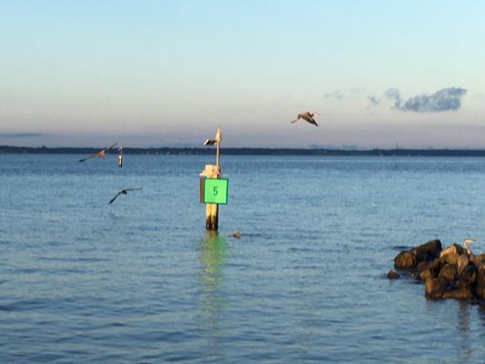 WINDMILL POINT MARINA - Updated July 2024 - 19 Photos - Windjammer Ln ...