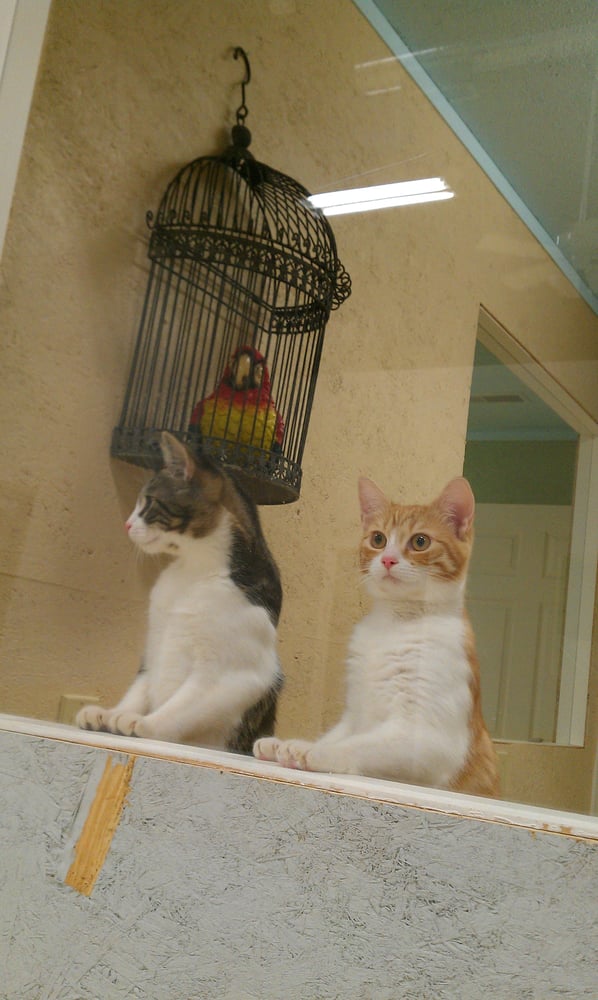 RIN TIN INN & LUXURY SUITES LLC - Updated January 2026 - 10 Reviews ...