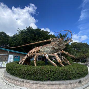 BOBA MANATEA CAFE - Updated December 2025 - 33 Photos & 16 Reviews ...