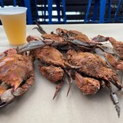 CAPTAIN JAMES LANDING - 530 Photos & 428 Reviews - 2127 Boston St ...