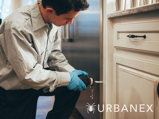 URBANEX PEST CONTROL - Updated October 2025 - 1035 Putnam Dr ...