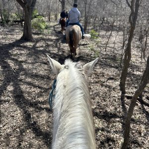 WESTCREEK TRAIL RIDES - 86 Photos & 76 Reviews - 12230 Westcreek Oaks ...