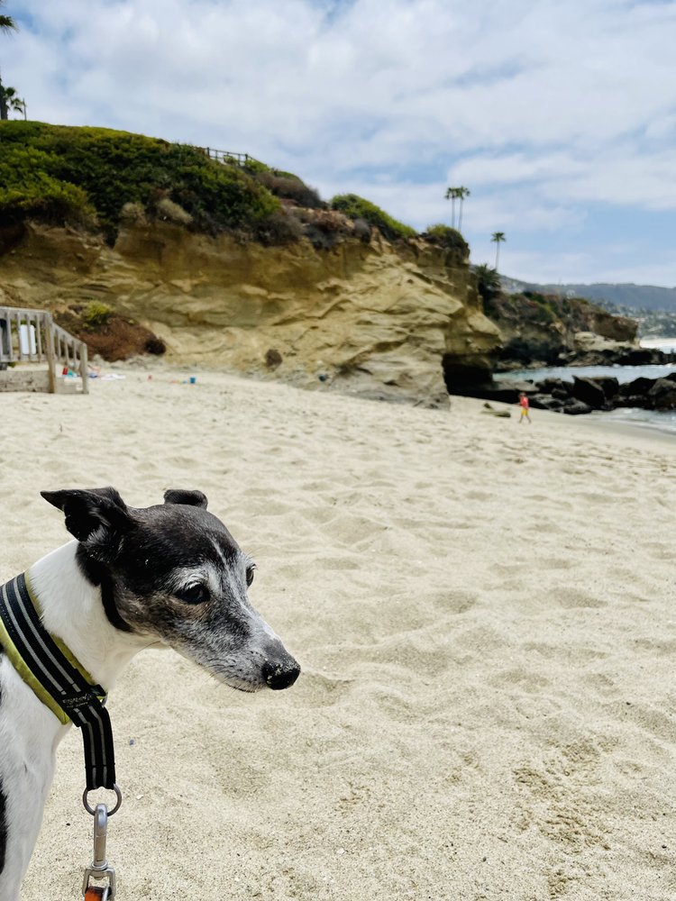 GOFF ISLAND COVE - Updated April 2025 - 28 Photos - Shreve Dr & S Coast ...