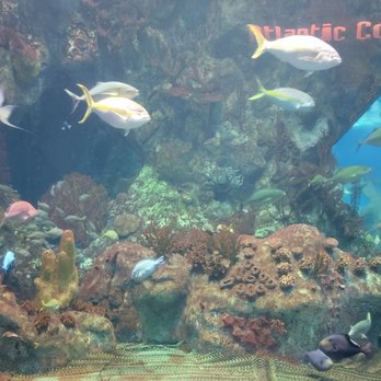 ABQ BIOPARK BOTANIC GARDEN - Updated March 2025 - 915 Photos & 165 ...