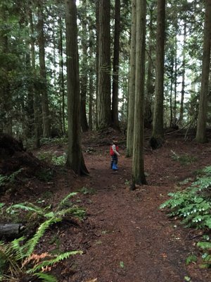 ANDERSON LAKE STATE PARK - Updated December 2024 - 13 Photos - 1061 ...