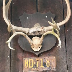 HOUSE OF MYSTERY AT THE OREGON VORTEX - 110 Photos & 72 Reviews - 4303 ...