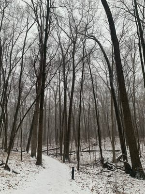 BRIGHTON STATE RECREATION AREA - Updated December 2025 - 30 Photos & 25 ...