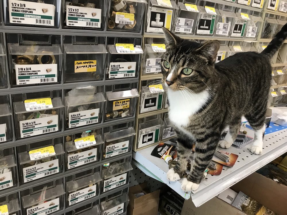 DELEON SPRINGS HARDWARE - Updated August 2025 - 5094 US Hwy 17, De Leon ...