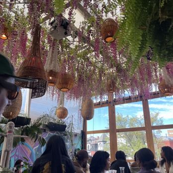 EL TECHO - Updated February 2025 - 723 Photos & 455 Reviews - 606 ...