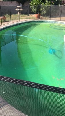 PABLO’S POOL SERVICE - Updated April 2025 - 46 Photos & 11 Reviews ...