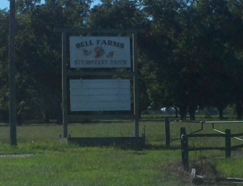 BELL FARMS - Updated April 2025 - 1861 Highway 23, Ward, South Carolina ...