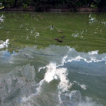 BYRD PARK - Updated January 2026 - 75 Photos & 38 Reviews - 600 S Blvd ...