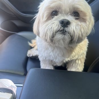 PETSMART - Updated October 2024 - 59 Photos & 133 Reviews - 575 Rohnert ...