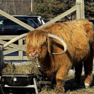 FUN MAX - Updated August 2025 - 22 Photos - 1404 Rte 9, Wappingers ...