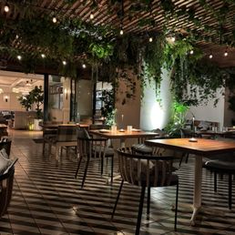 ZAYTINYA - Updated July 2025 - 153 Photos & 45 Reviews - 1 Lincoln Rd ...