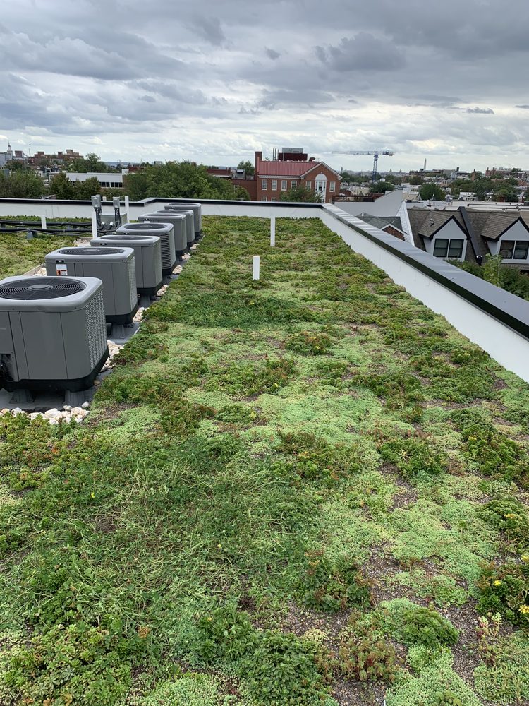 SUNSHINE CONSTRUCTION - Updated July 2025 - Request Consultation - 1508 ...