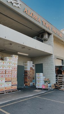 ALOHA TOFU FACTORY - Updated May 2024 - 203 Photos & 62 Reviews - 961 ...