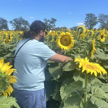 NELSON PRODUCE FARM - Updated July 2025 - 163 Photos & 24 Reviews ...