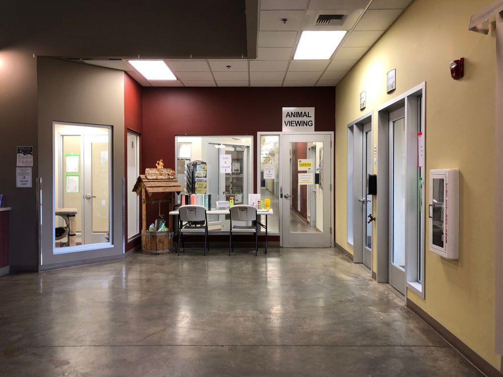 EVERETT ANIMAL SHELTER - 19 Photos & 54 Reviews - Animal Shelters - 333 ...