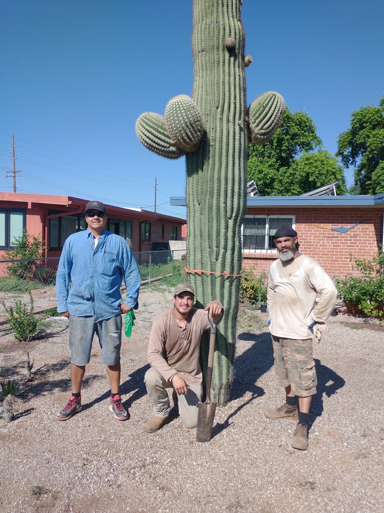 ARCTIC CACTUS - Updated July 2025 - 1455 W Prince Rd, Tucson, Arizona ...