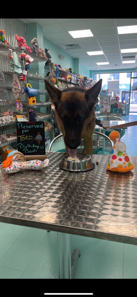 SALTY PAWS - Updated May 2024 - 54 Photos & 15 Reviews - 211 S 17th St ...