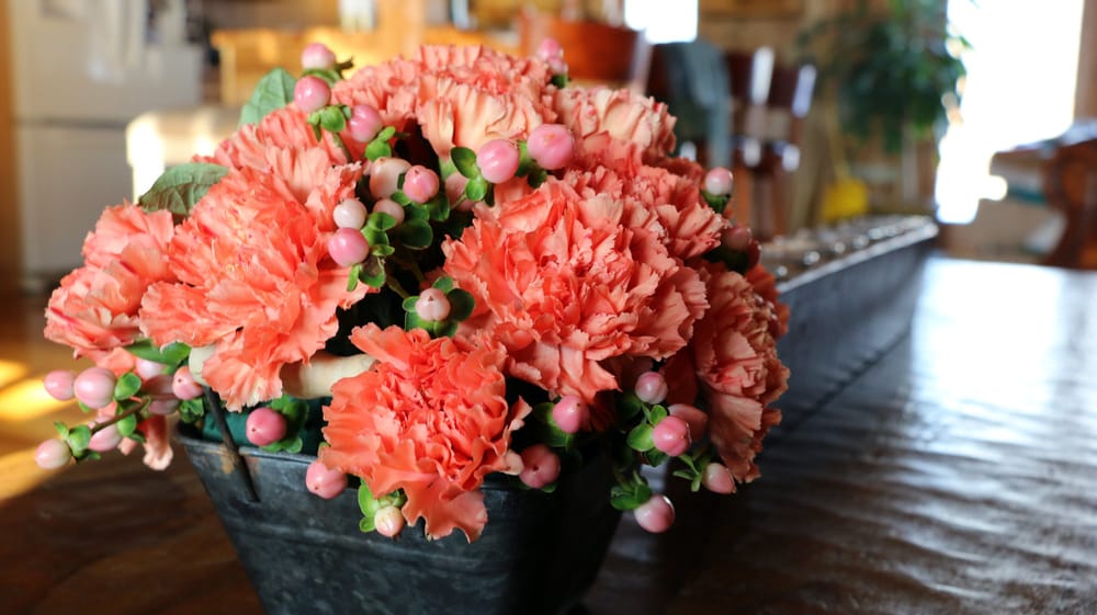 THE ORCHARD FLORAL - Athens, Ohio - Florists - Phone Number - Yelp