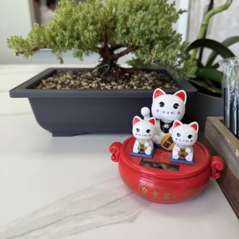 MONTEA BOBA - Updated June 2025 - 128 Photos & 69 Reviews - 82 West ...