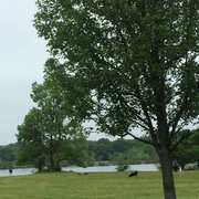 BUCKMASTER POND - 15 Photos - Lakes - 350 Pond St, Westwood, MA - Yelp