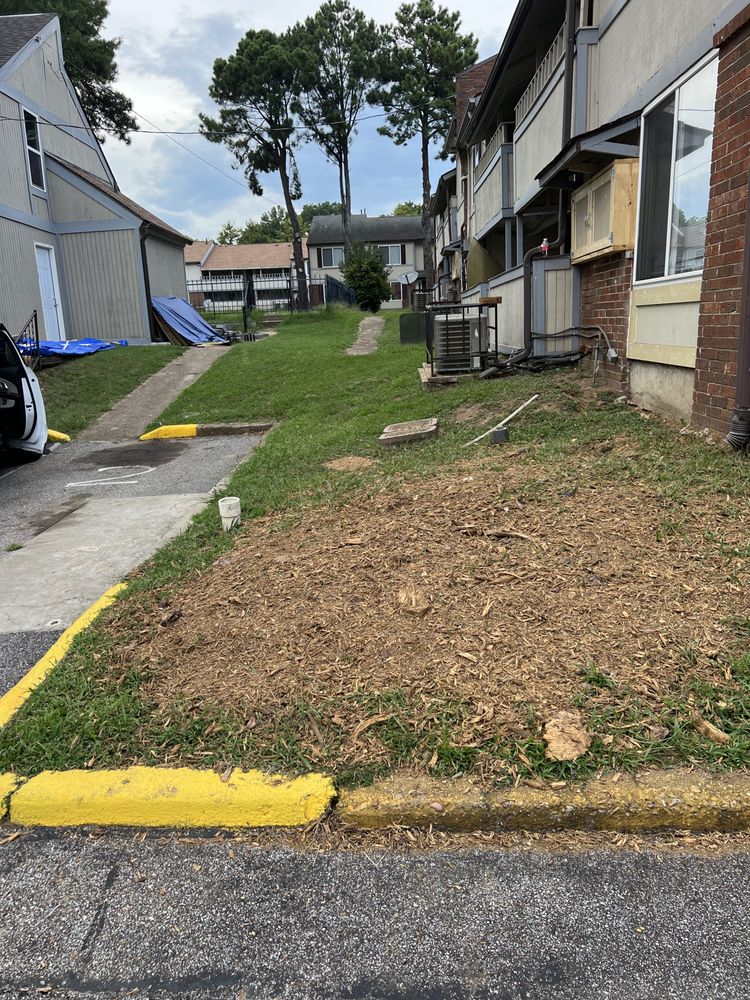 JR’S STUMP REMOVAL - Updated August 2024 - Request a Quote - 26 Photos ...