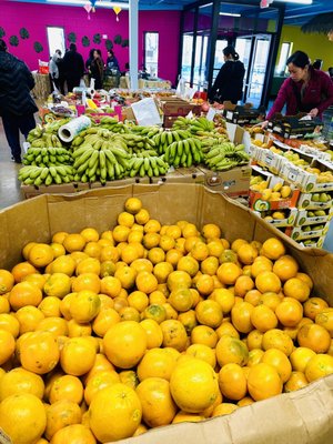 MO’S TROPICAL MARKET - 10 Photos - 141 W Lafayette Frontage Rd, Saint ...