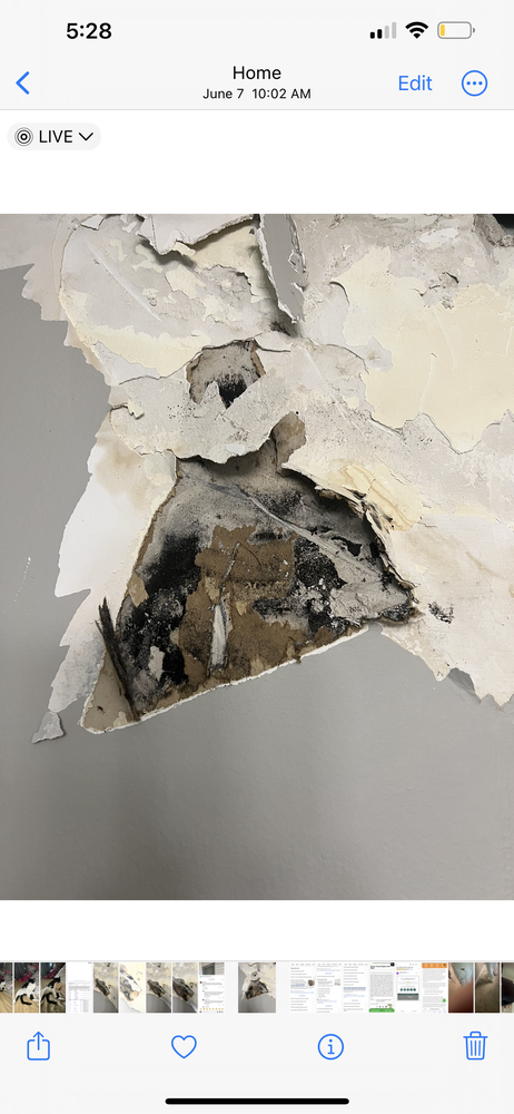 WILLOW CROSSING - Updated December 2025 - 71 Photos & 14 Reviews - 1031 ...