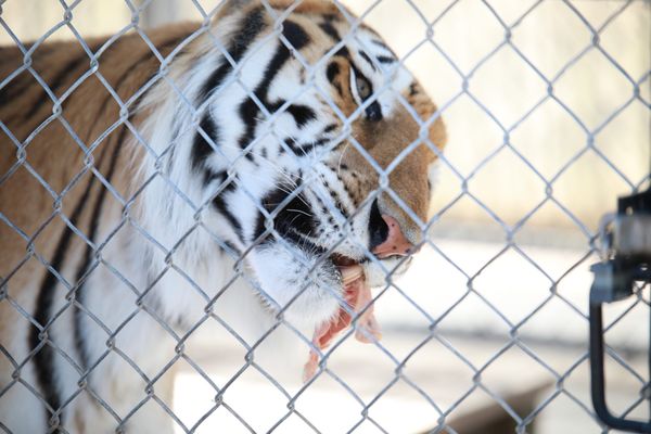 VISION QUEST RANCH - Updated June 2024 - 817 Photos & 306 Reviews - 400 ...