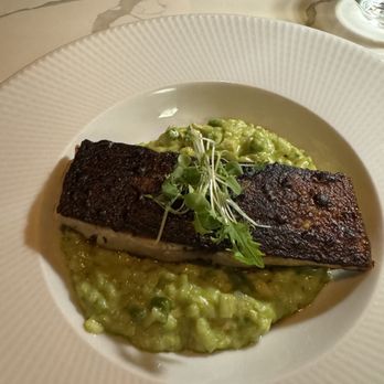 OKTO - Updated June 2025 - 224 Photos & 63 Reviews - 888 Westheimer Rd ...