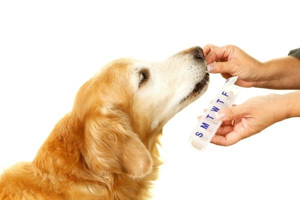 CENTRAL OHIO COMPOUNDING PHARMACY - Updated April 2026 - 18 Photos ...